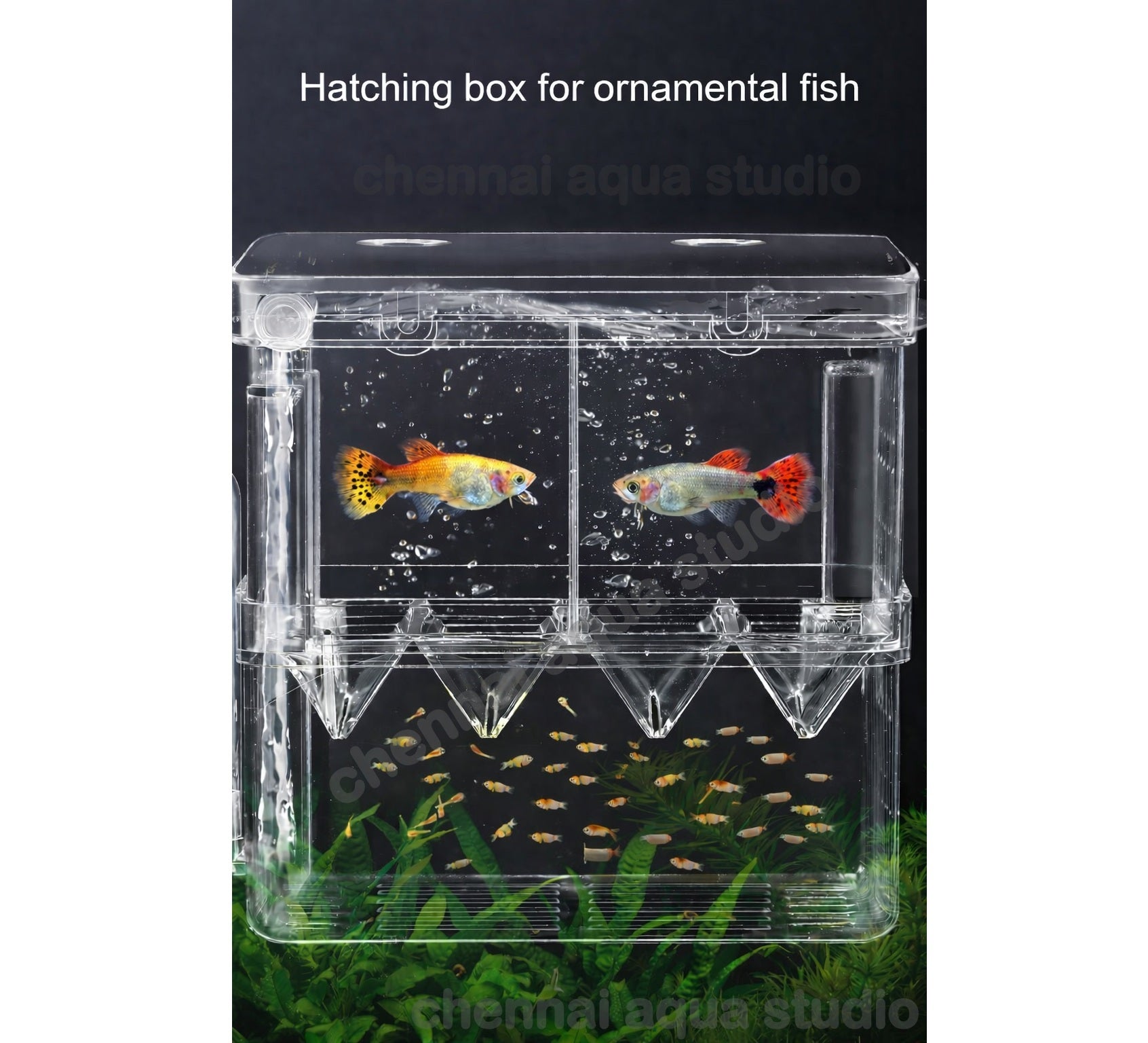 Double Deck Isolation Breeding Box for Aquarium Self Floating Multifun ...