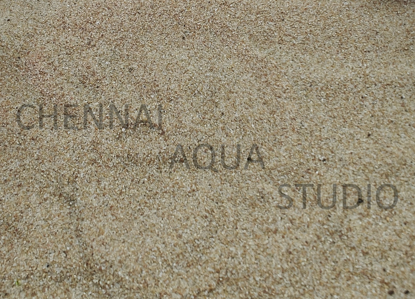 Natural Golden Nile River Sand for Aquarium Fish Tank – Chennai Aqua Studio